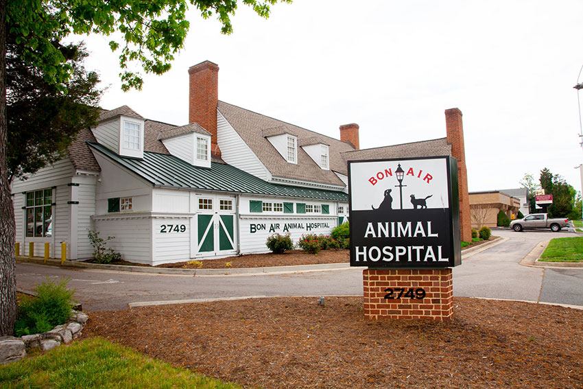 Richmond, VA Veterinarian - Bon Air Animal Hospital - Home